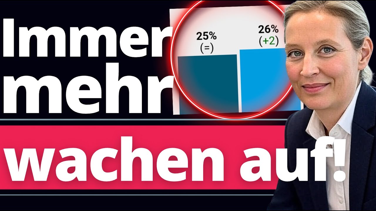 AfD Schock trifft Merz ins Mark! | auf loobloo.tv